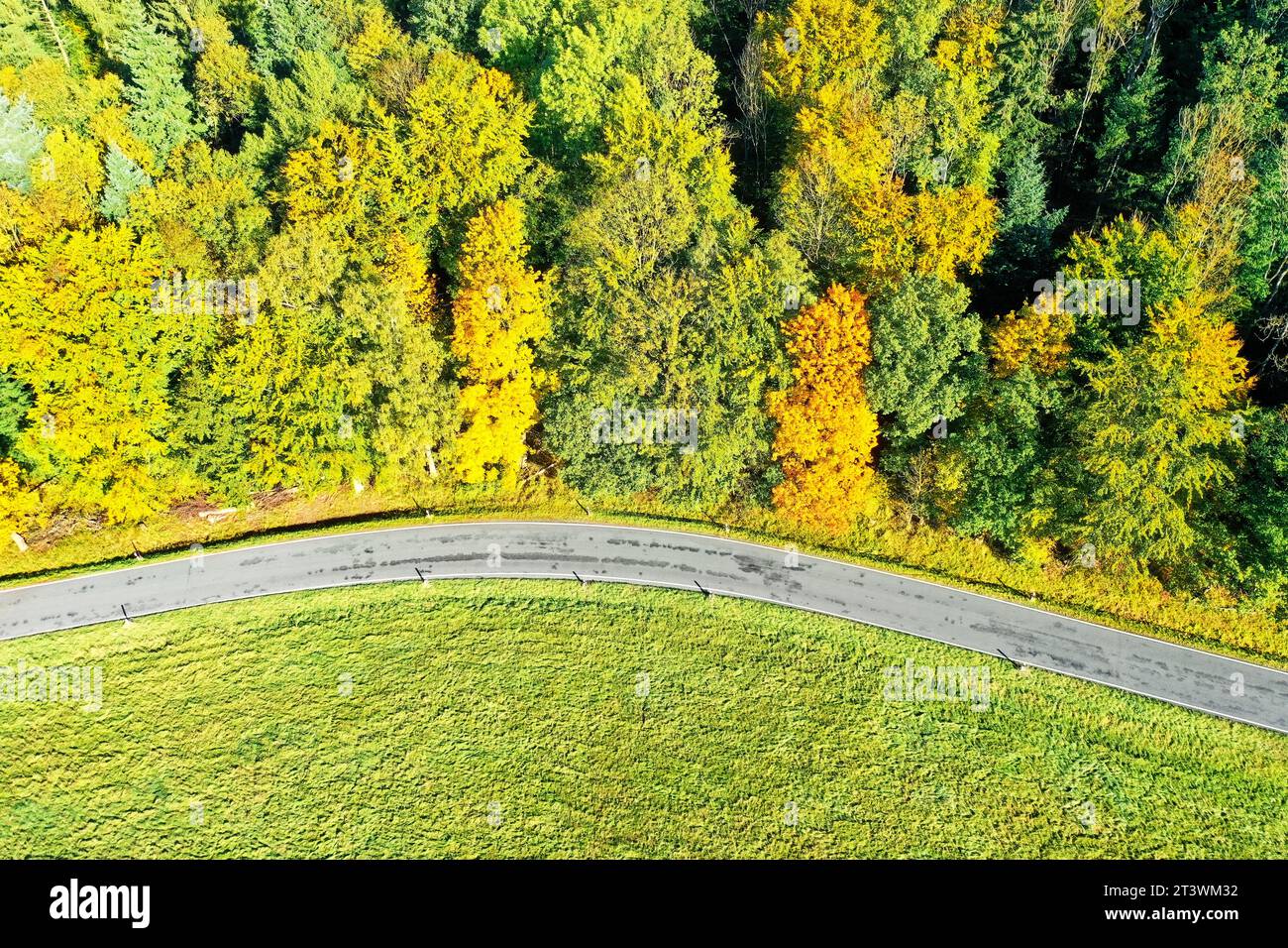 Elm woodland bend hi-res stock photography and images - Alamy