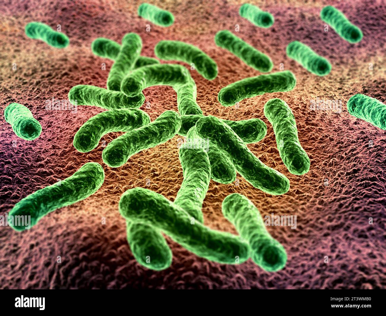 Bacteria cells background. 3d render Stock Photo - Alamy