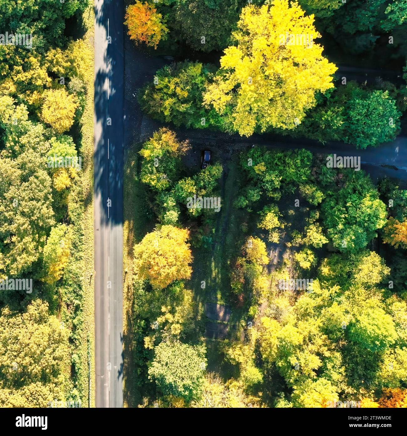Abstract-Looking Vertical Aerial View of a Narrow Gray Country Road by ...
