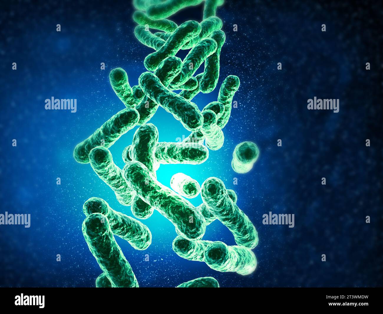 Bacteria cells background. 3d render Stock Photo - Alamy