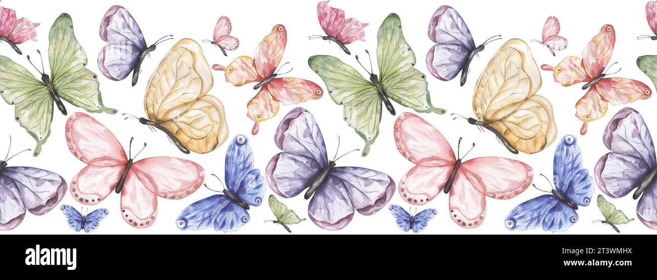 Butterfly Clipart Border Design