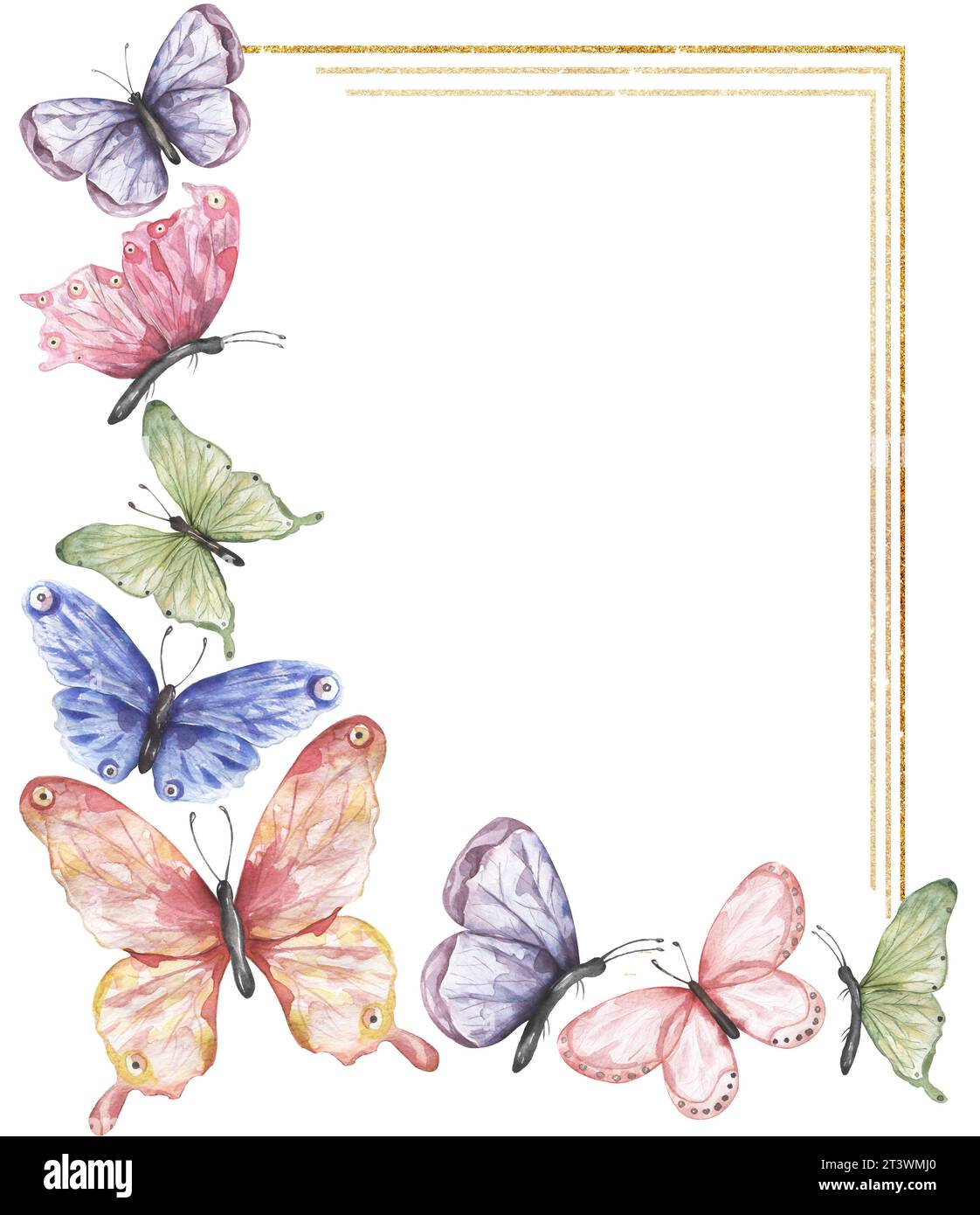 Butterfly Clipart Border