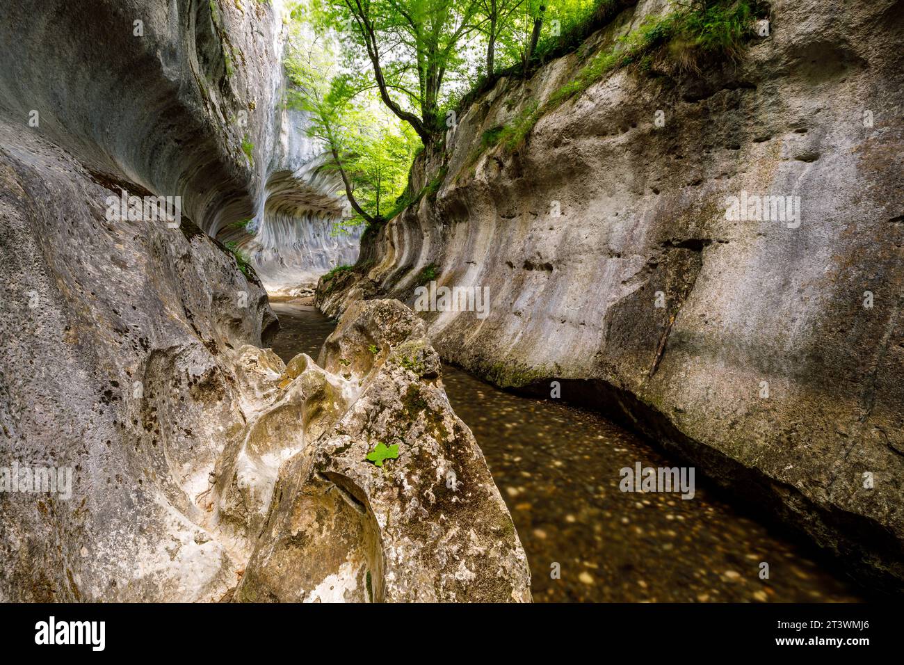 The Gorge of Chile Banitei at Hunedoara in Romania Stock Photo - Alamy