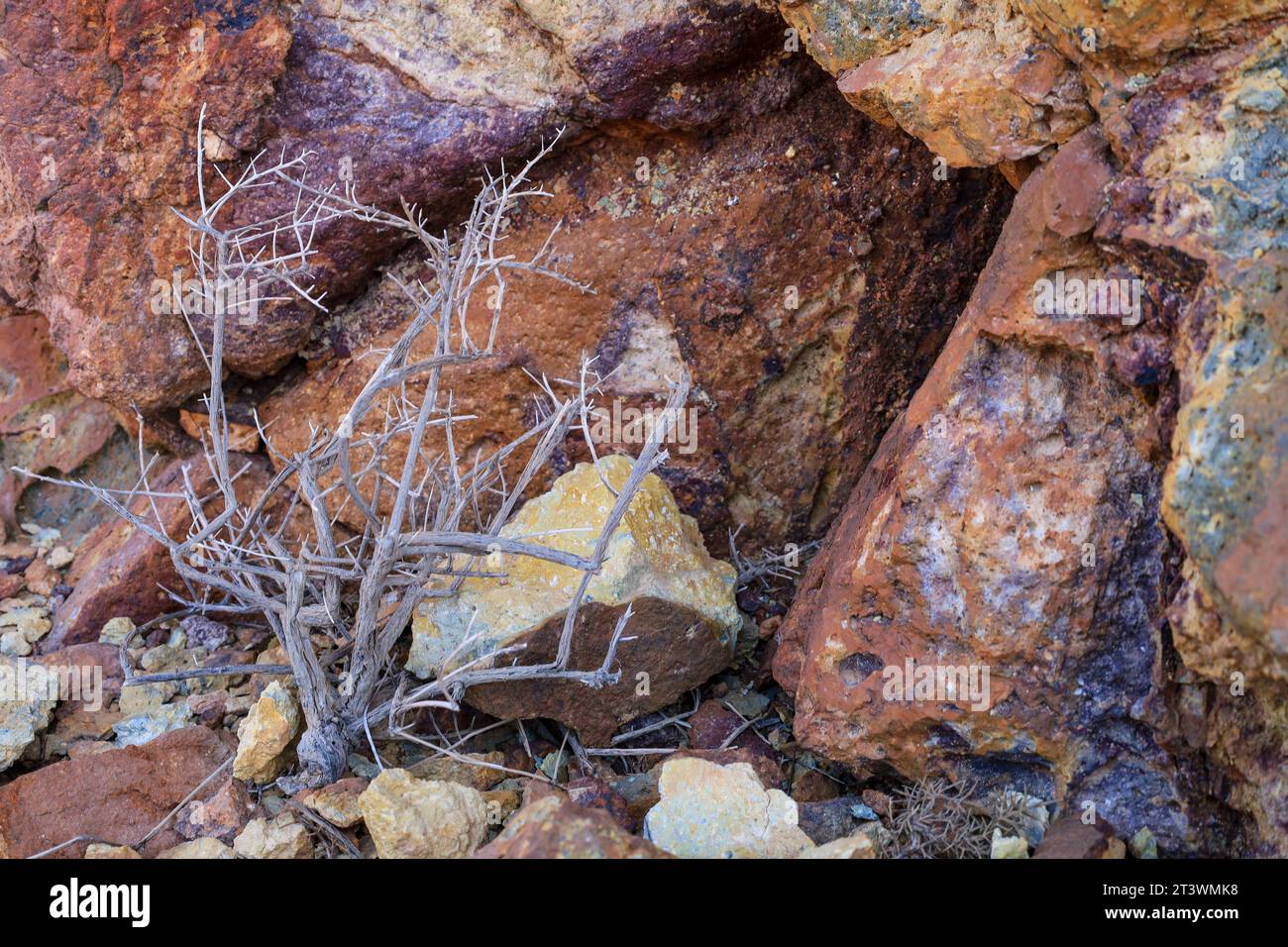 Colorful volcanic rock textures and minerals of a mountain in ...
