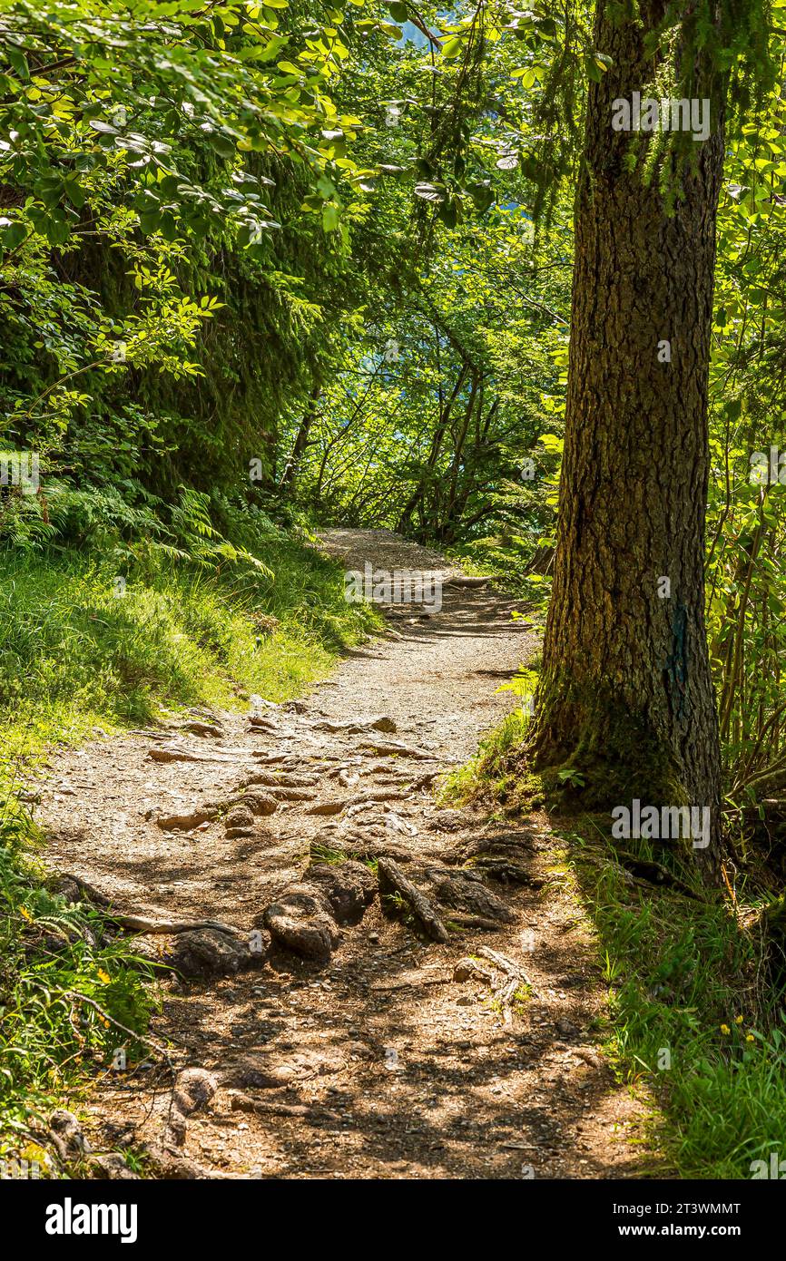 Hiking in weissensee austria hi-res stock photography and images - Alamy