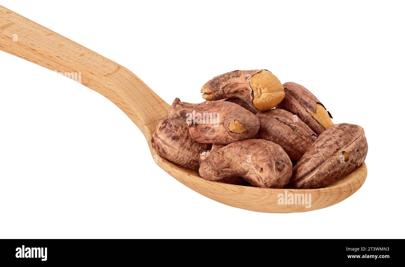 cashew nuts with shell in wooden spoon isolated on white background ...