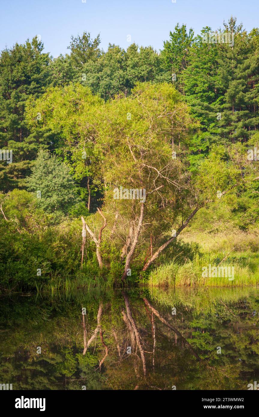 Jamestown Audubon Center and Sanctuary in New York Stock Photo - Alamy
