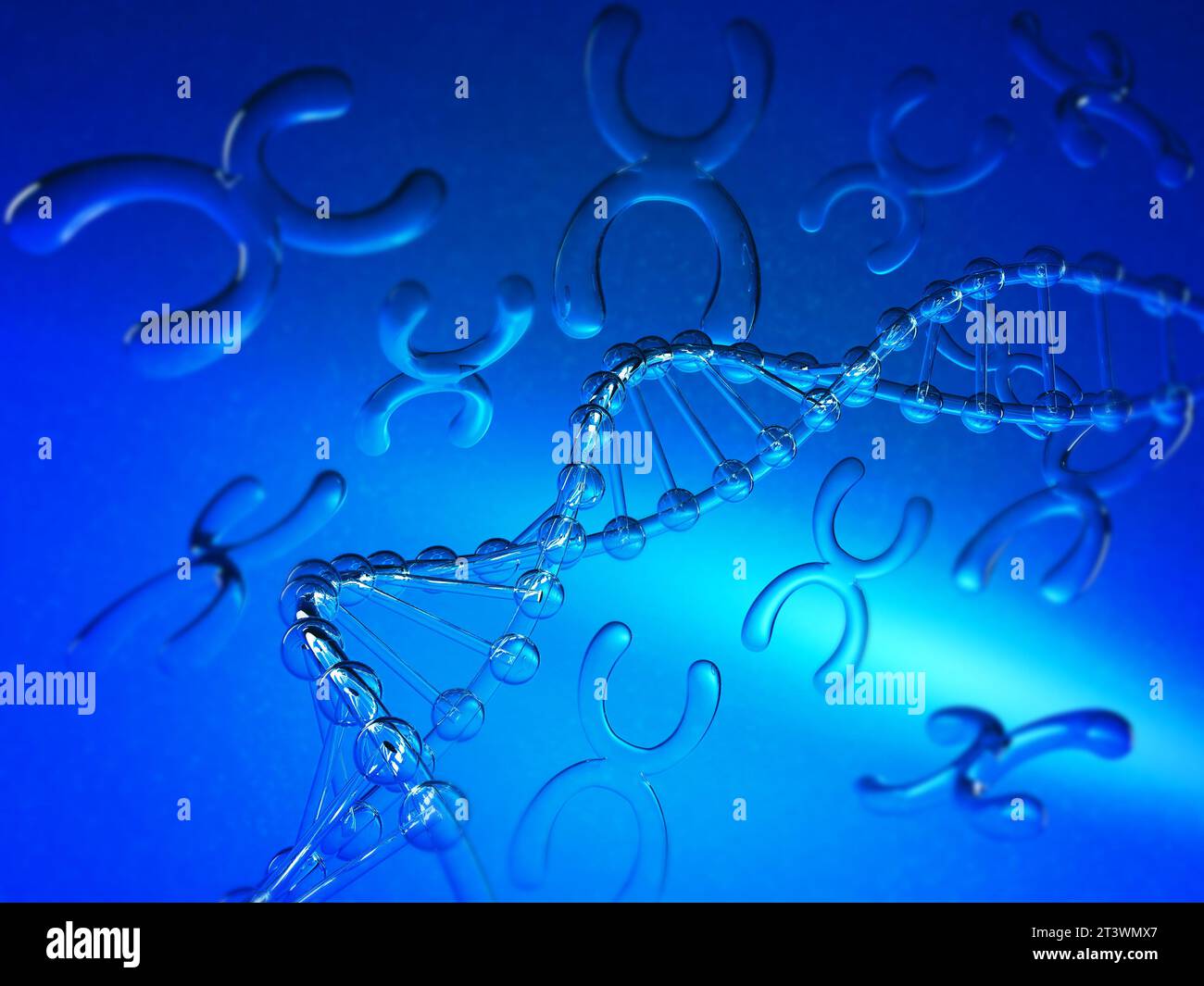 Dna structure with chromosome on abstract background. 3d render Stock ...