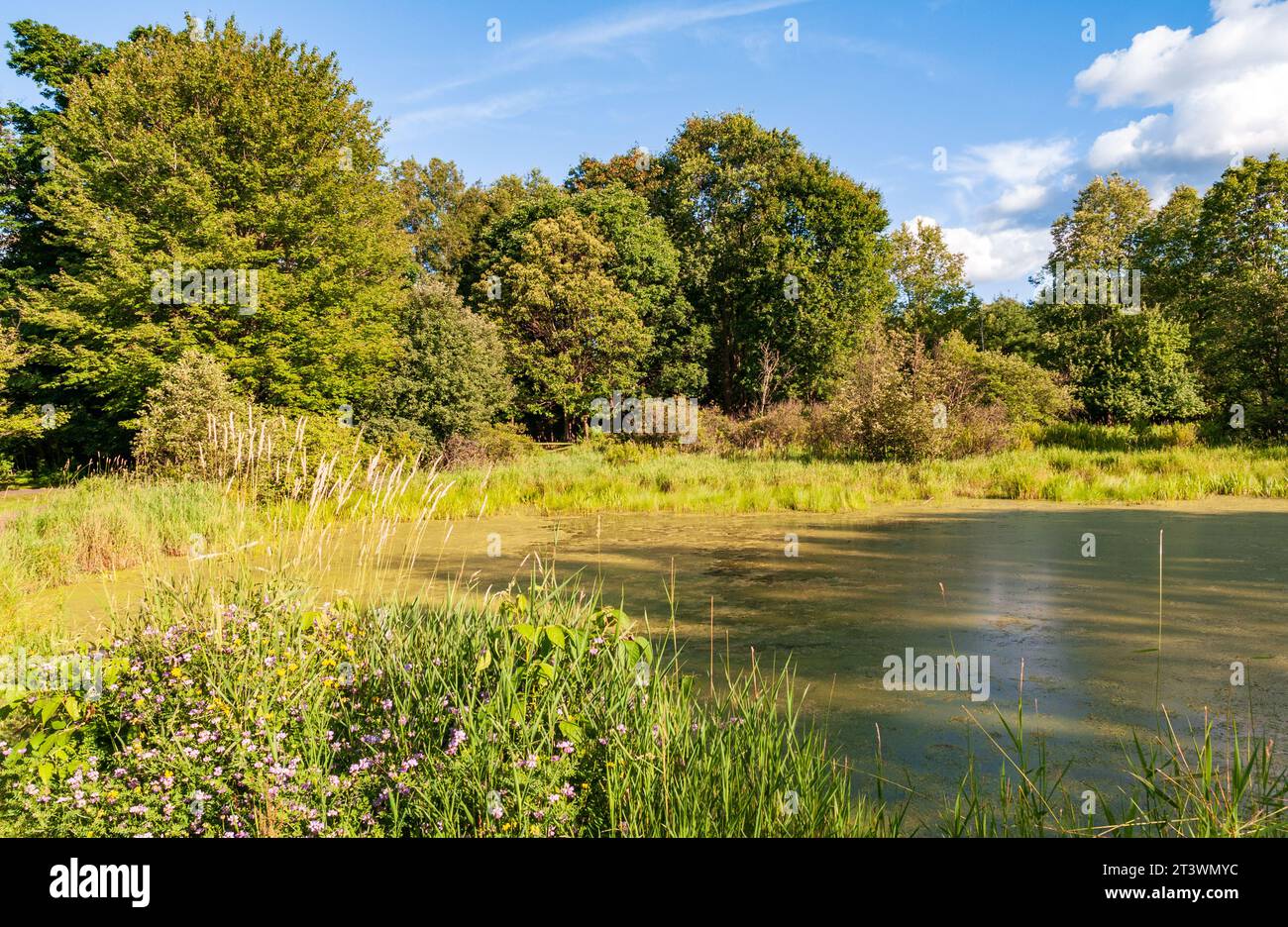 Jamestown Audubon Center and Sanctuary in New York Stock Photo - Alamy