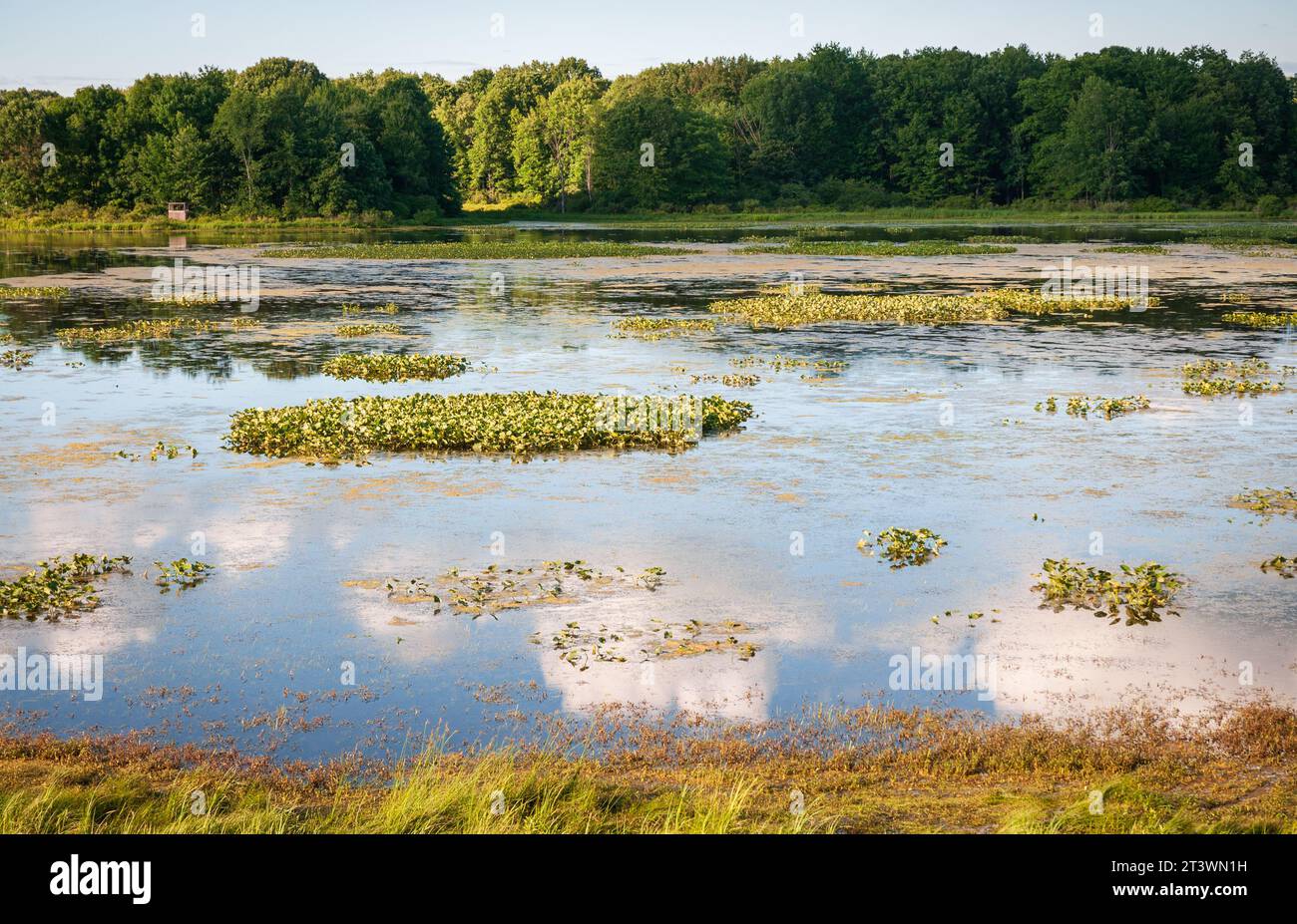 Jamestown Audubon Center and Sanctuary in New York Stock Photo - Alamy
