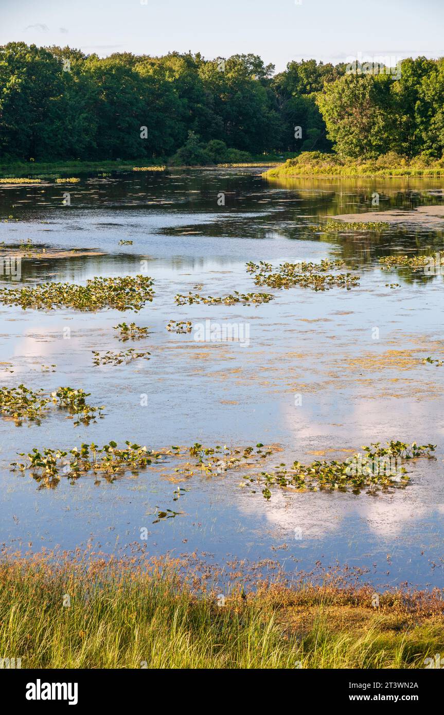 Jamestown Audubon Center and Sanctuary in New York Stock Photo - Alamy
