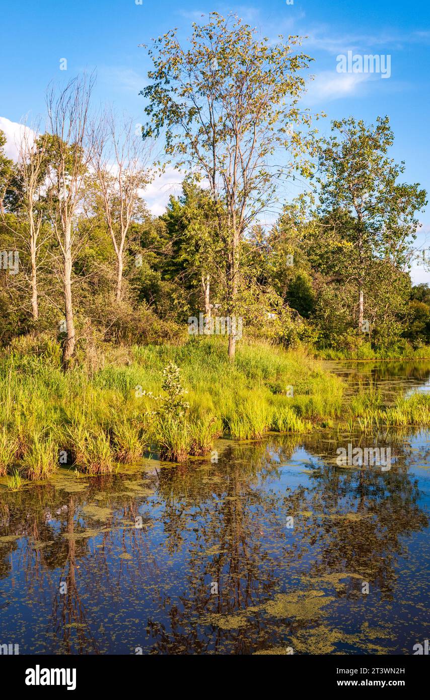 Jamestown Audubon Center and Sanctuary in New York Stock Photo - Alamy