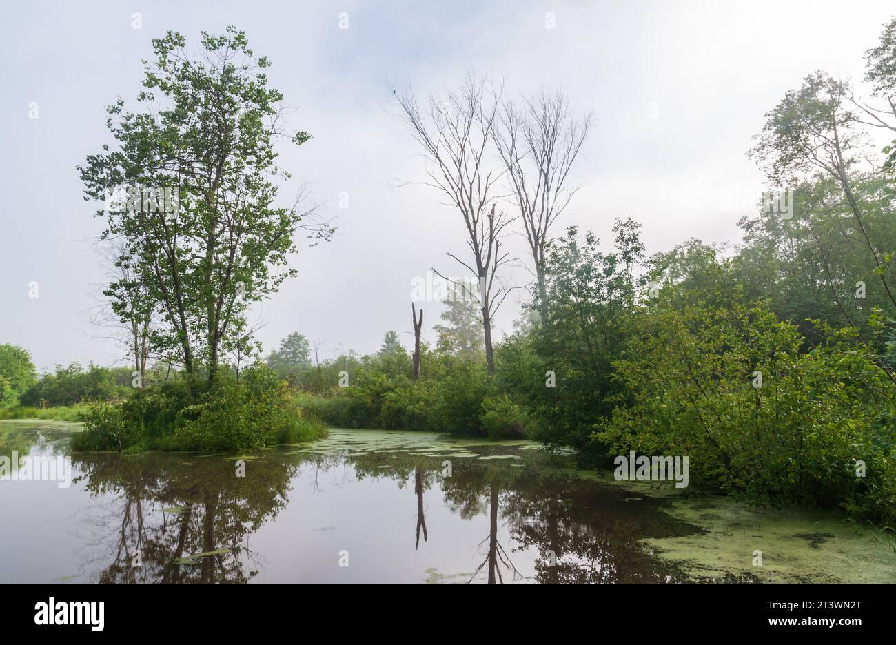 Jamestown Audubon Center and Sanctuary in New York Stock Photo - Alamy