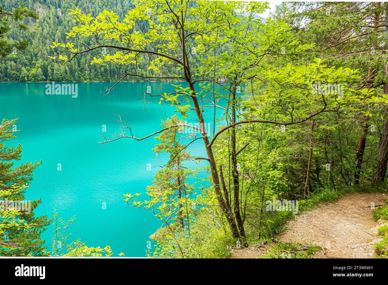 Picture of pretty Weissensee lake in Austria Stock Photo - Alamy