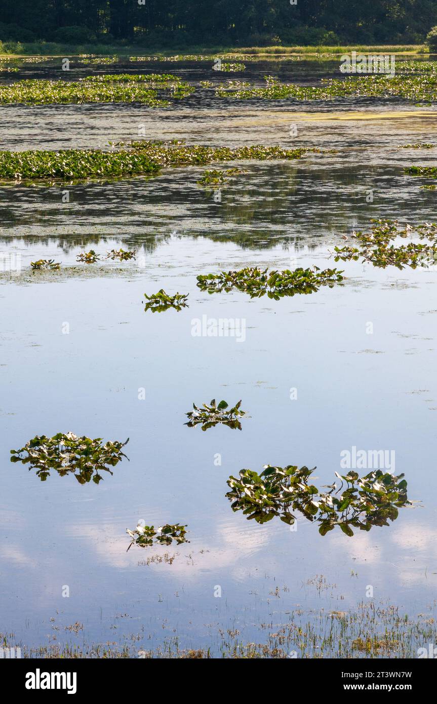 Jamestown Audubon Center and Sanctuary in New York Stock Photo - Alamy