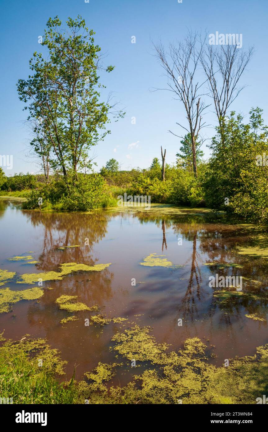 Jamestown Audubon Center and Sanctuary in New York Stock Photo - Alamy