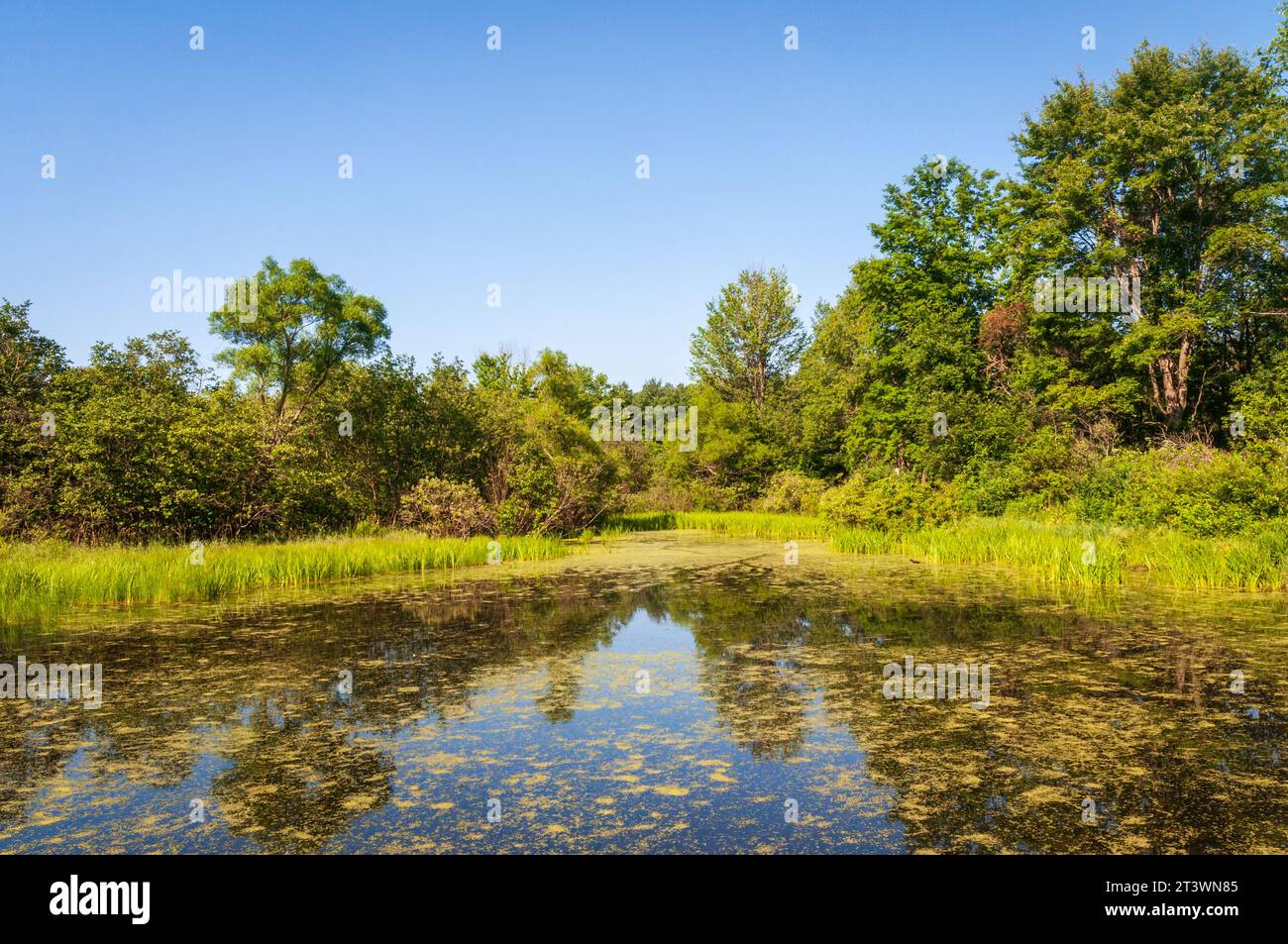 Jamestown Audubon Center and Sanctuary in New York Stock Photo - Alamy