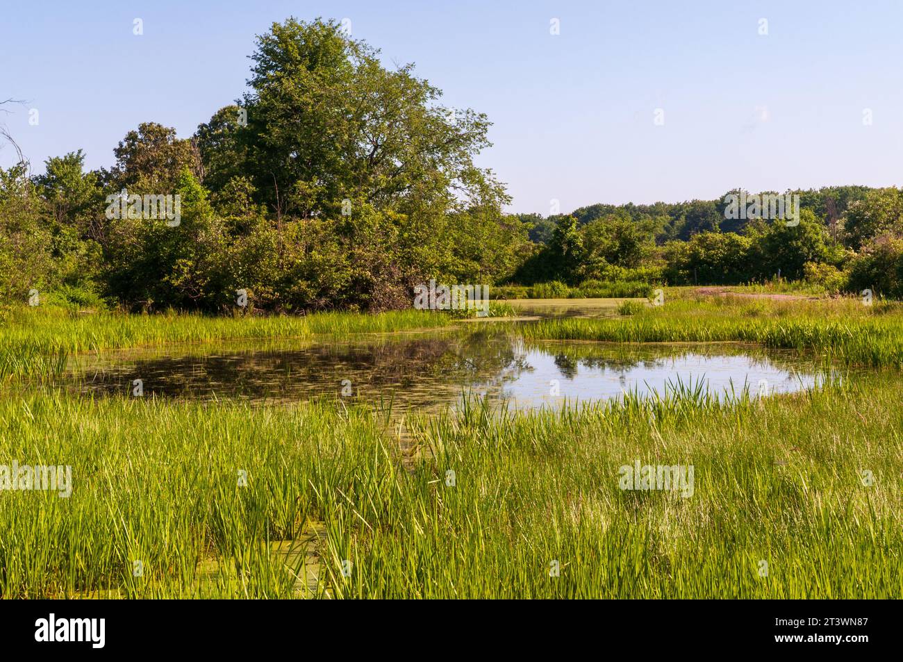 Jamestown Audubon Center and Sanctuary in New York Stock Photo - Alamy