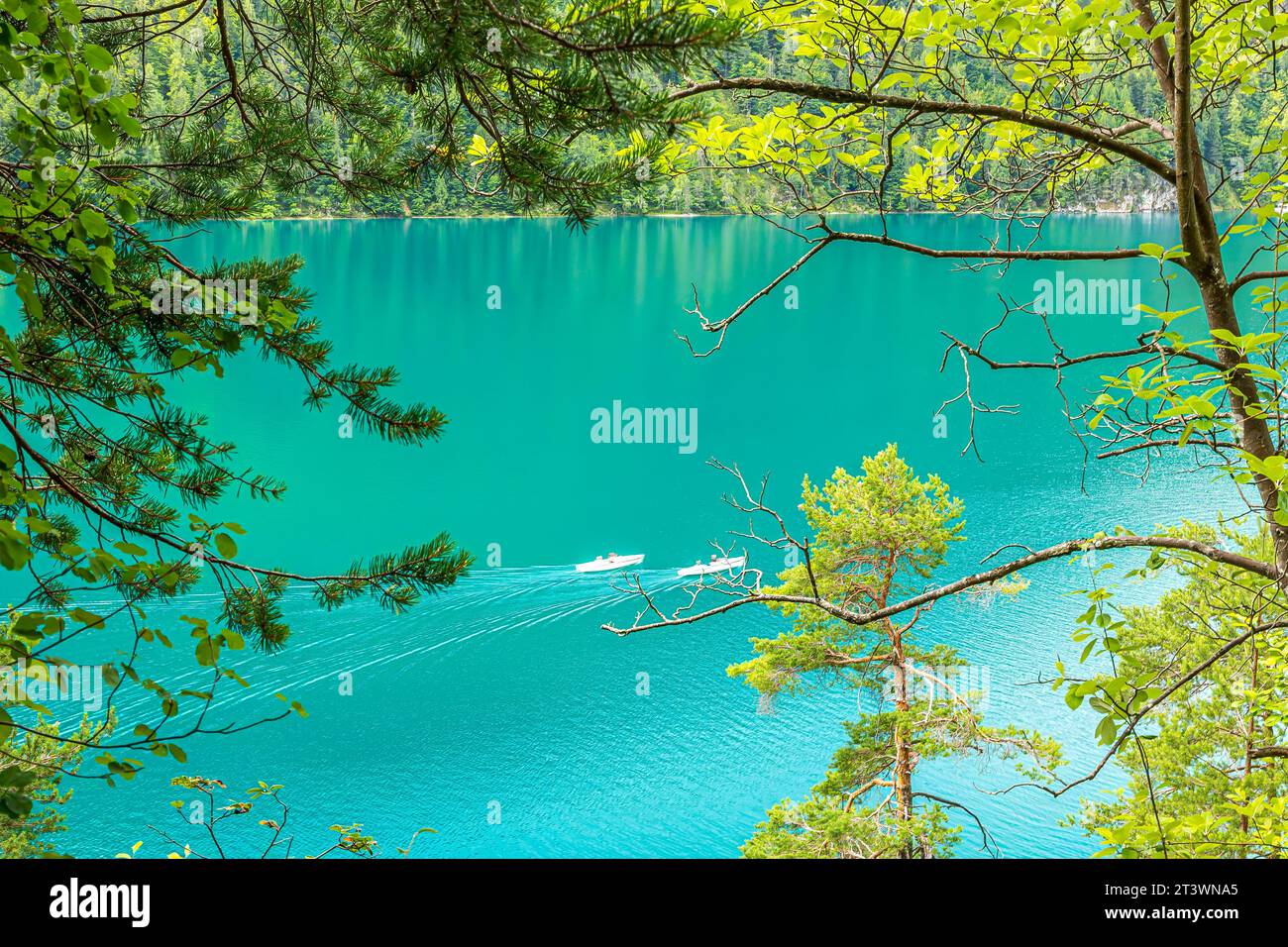 Picture of pretty Weissensee lake in Austria Stock Photo - Alamy