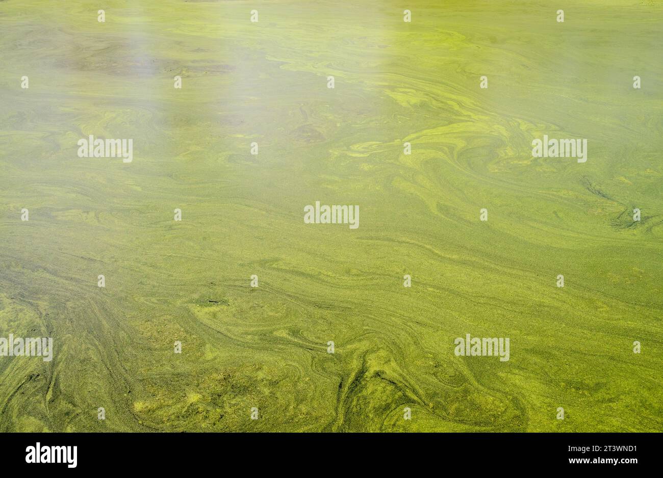 Jamestown Audubon Center and Sanctuary in New York Stock Photo - Alamy