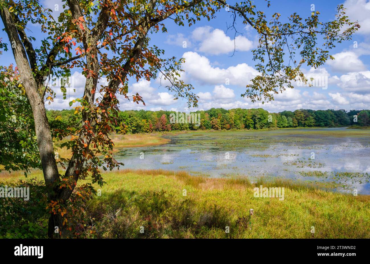 Jamestown Audubon Center and Sanctuary in New York Stock Photo - Alamy