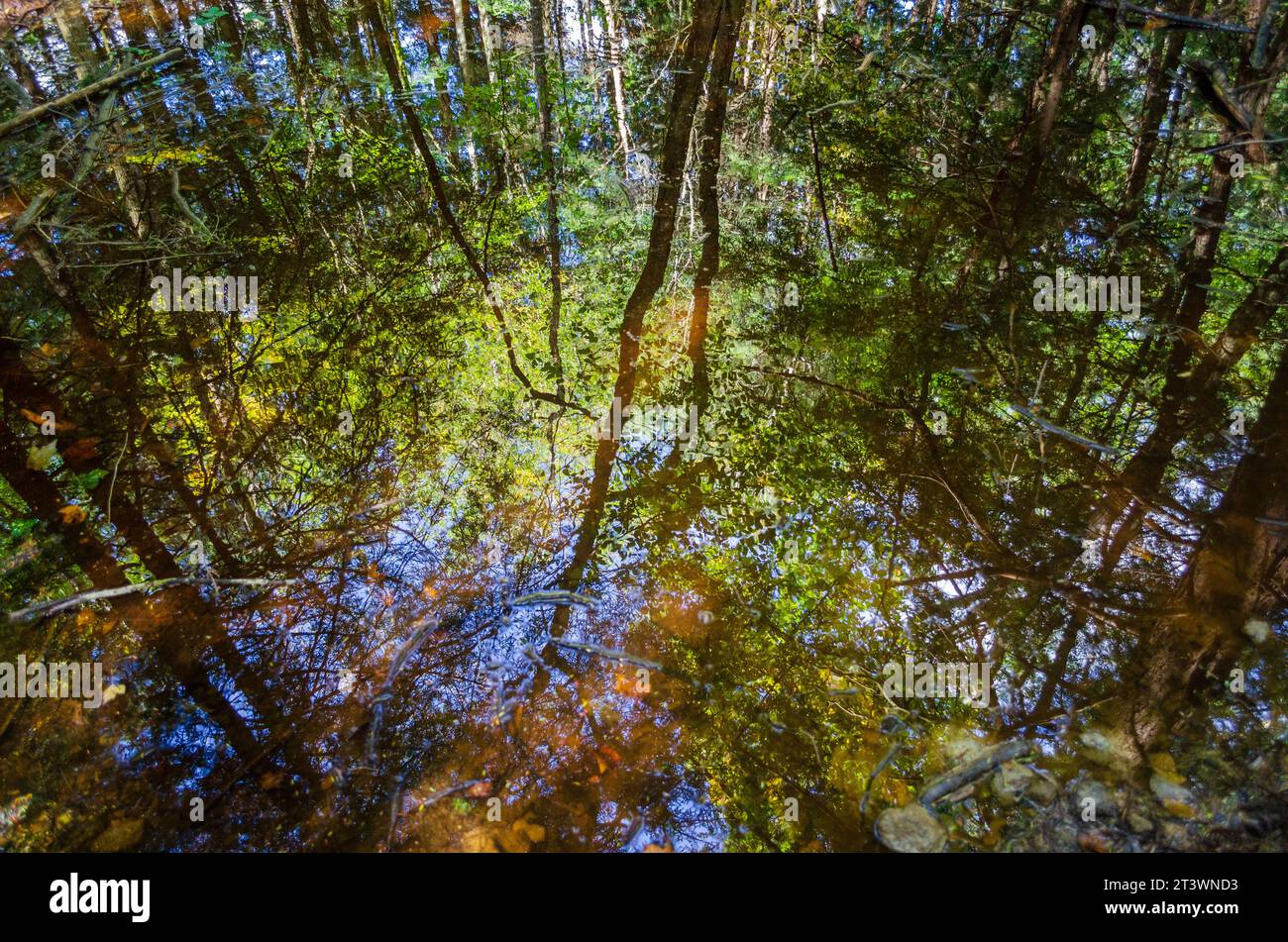 Jamestown Audubon Center and Sanctuary in New York Stock Photo - Alamy