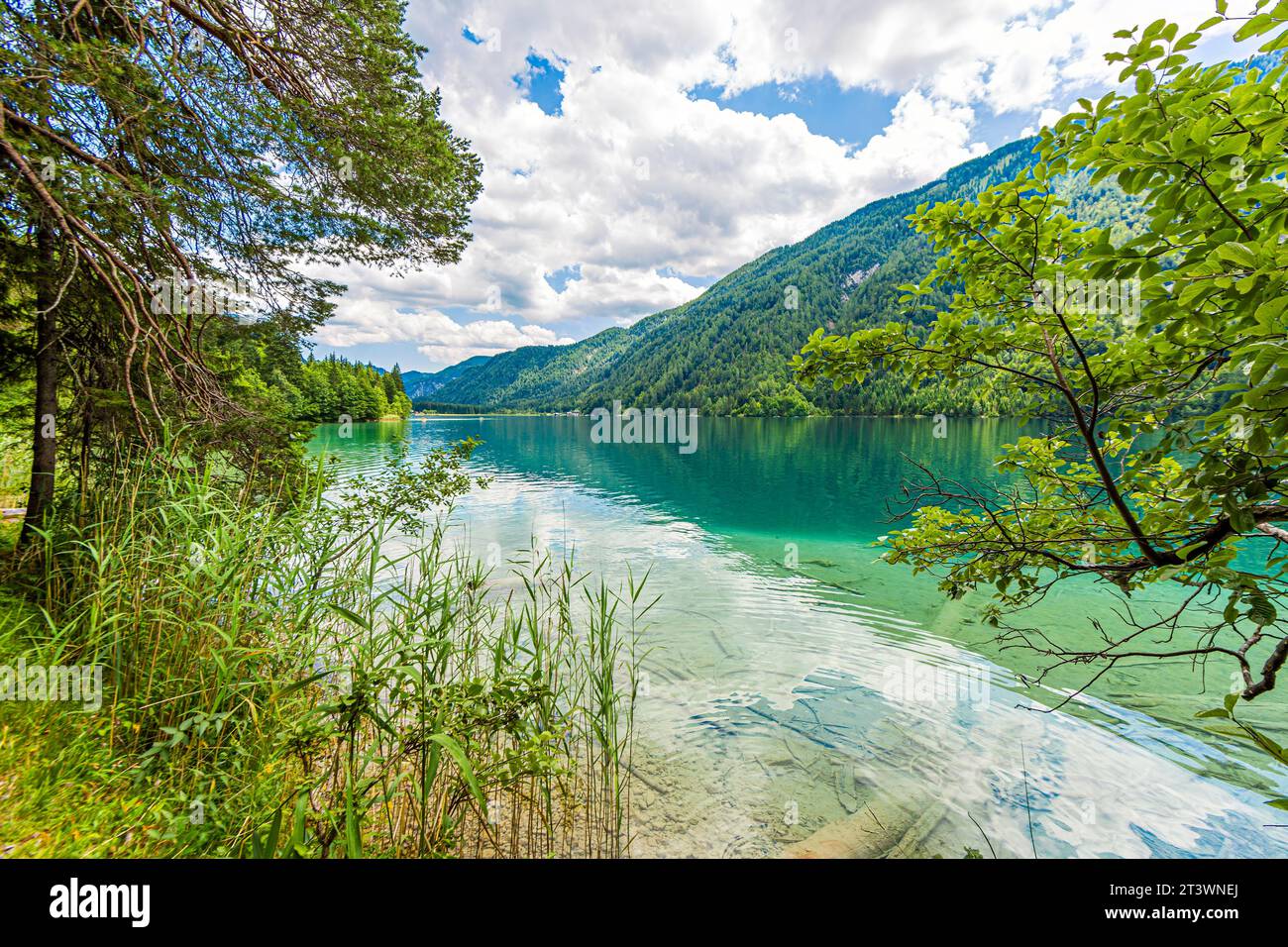 Picture of pretty Weissensee lake in Austria Stock Photo - Alamy