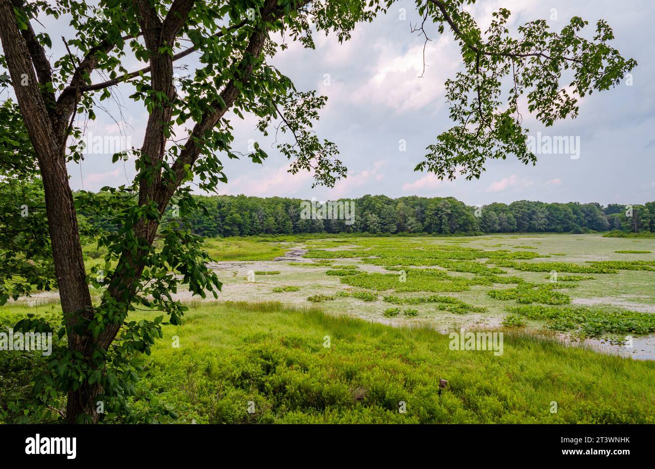 Jamestown Audubon Center and Sanctuary in New York Stock Photo - Alamy