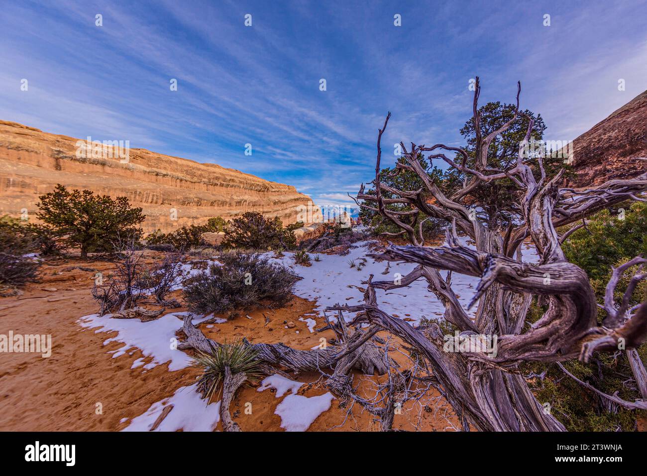 Panoramic picture of natural and geological wonders of Arches national ...
