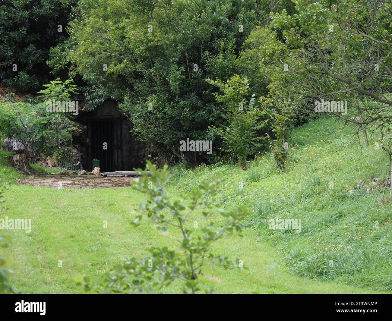 Grassy meadow near Altamira cave in European SANTILLANA DEL MAR town at ...