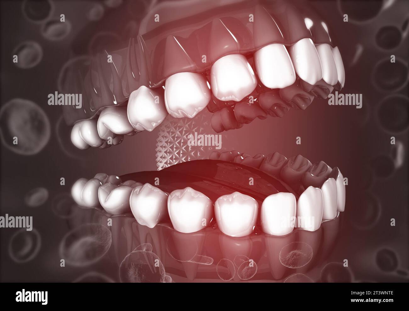 Tooth anatomy on science background. 3d render Stock Photo - Alamy