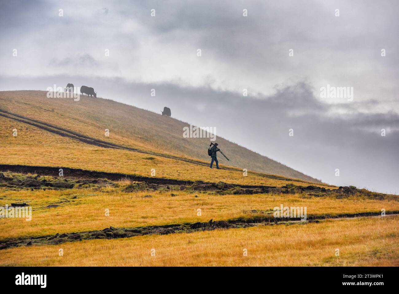 ABA, CHINA - OCTOBER 11, 2023 - A tourist looks at the Langyi Temple ...