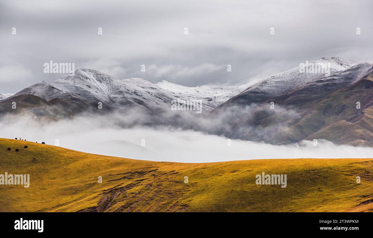 ABA, CHINA - OCTOBER 11, 2023 - The Langyi Temple is seen surrounded by ...