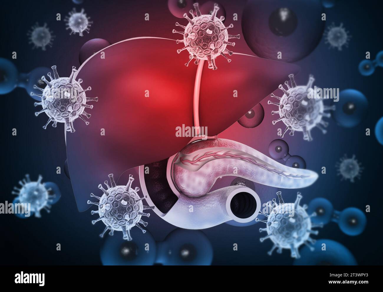 Human liver with hepatitis viruses. 3d illustration Stock Photo - Alamy