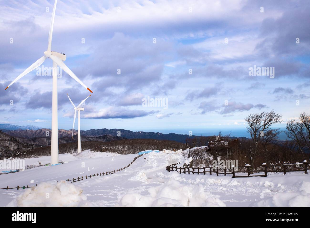 Winter in Daegwallyeong, Gangwon-do, Korea Stock Photo - Alamy