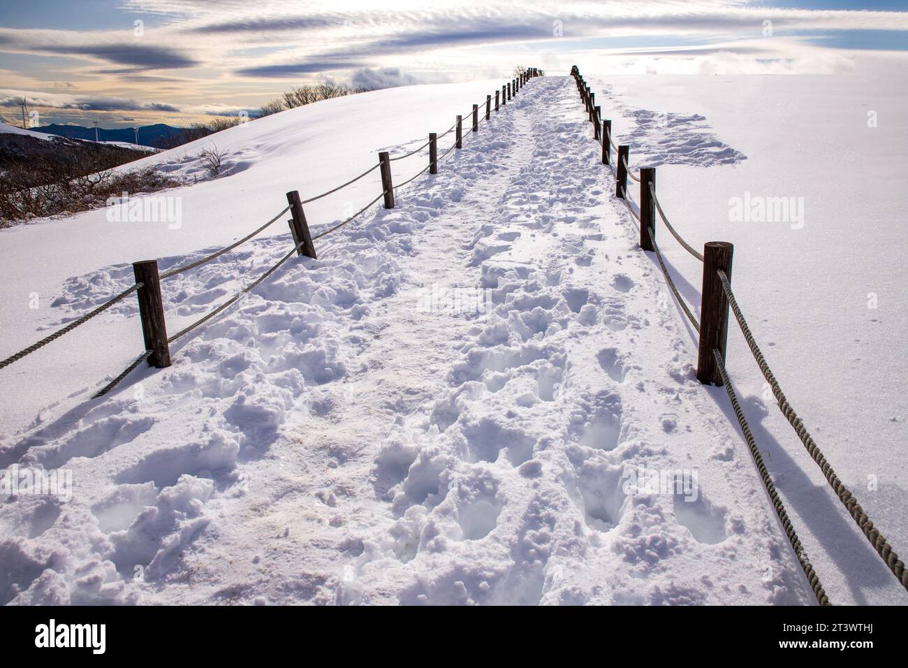 Winter in Daegwallyeong, Gangwon-do, Korea Stock Photo - Alamy
