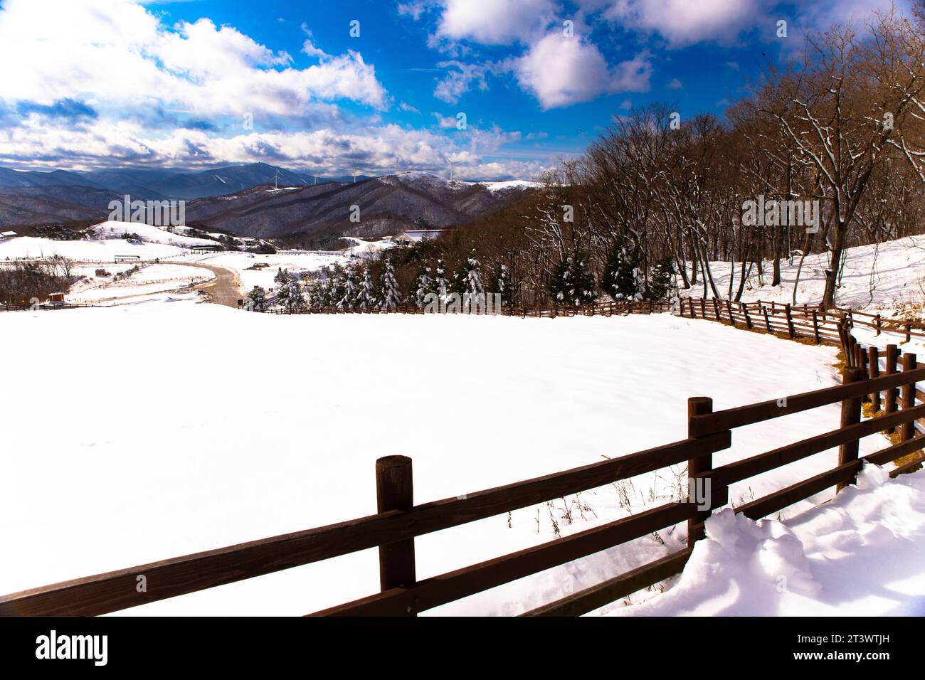 Winter in Daegwallyeong, Gangwon-do, Korea Stock Photo - Alamy