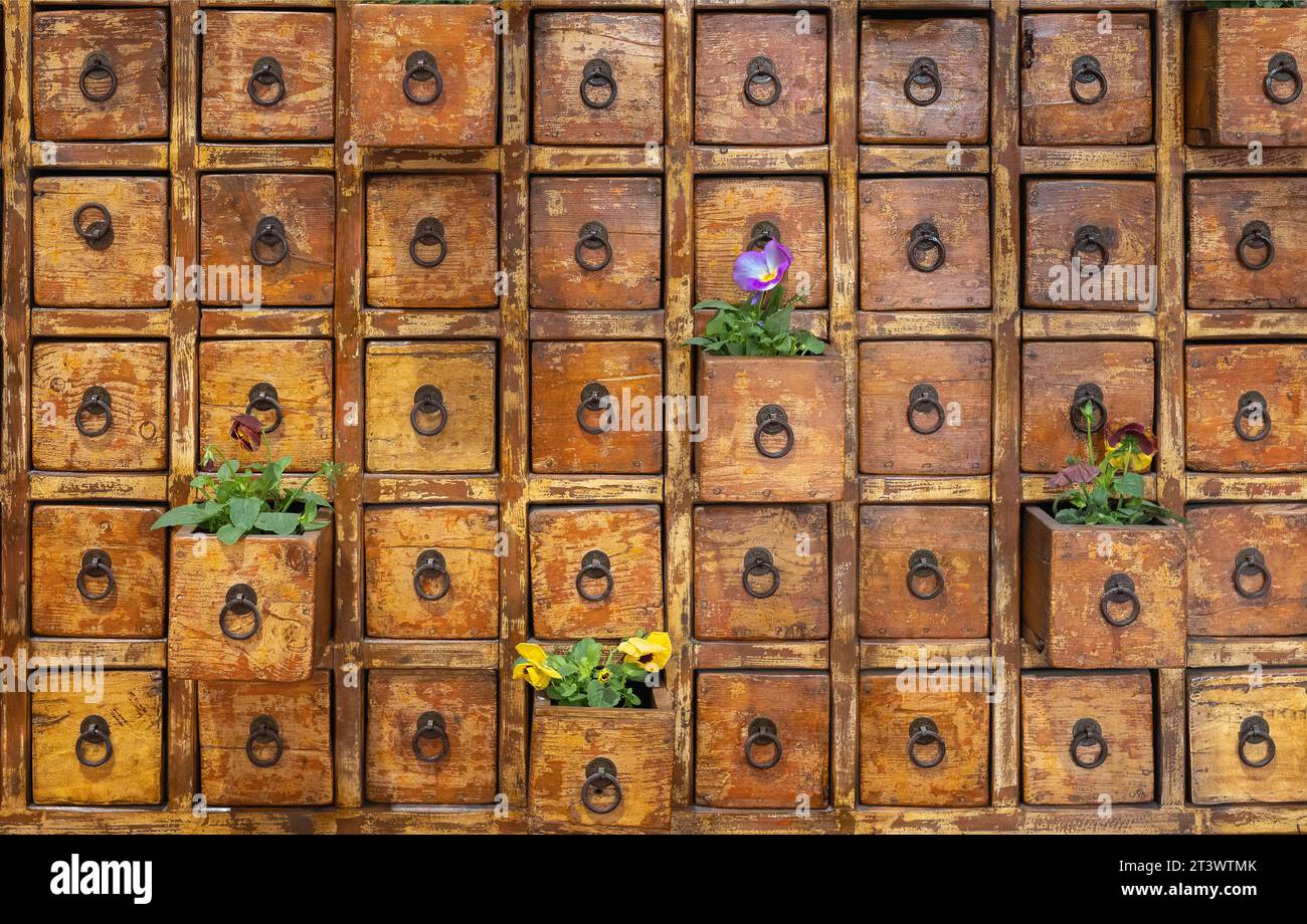 Chest of Drawers composed of many Square Wooden Drawers with flowers ...