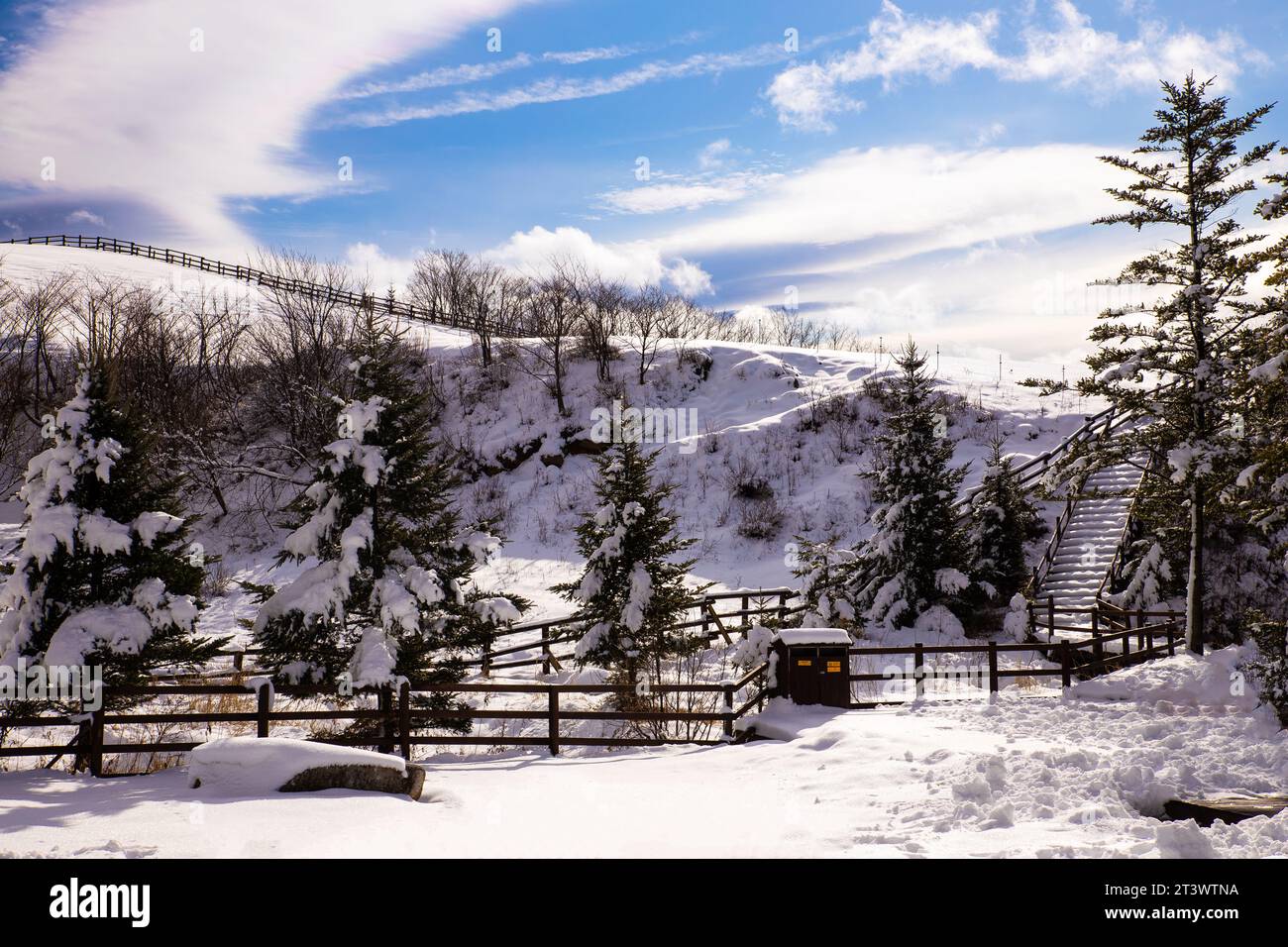 Winter in Daegwallyeong, Gangwon-do, Korea Stock Photo - Alamy