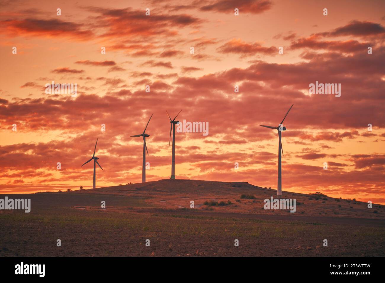 wind mills before sunrise in spring Stock Photo - Alamy