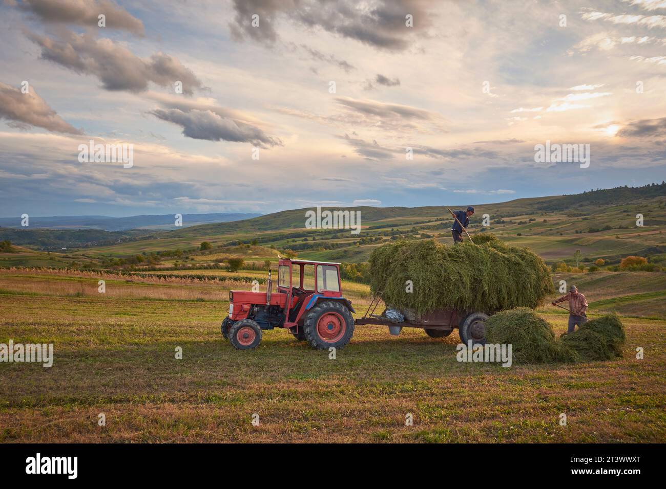 farmer harvesting grass from the field 5 Stock Photo - Alamy