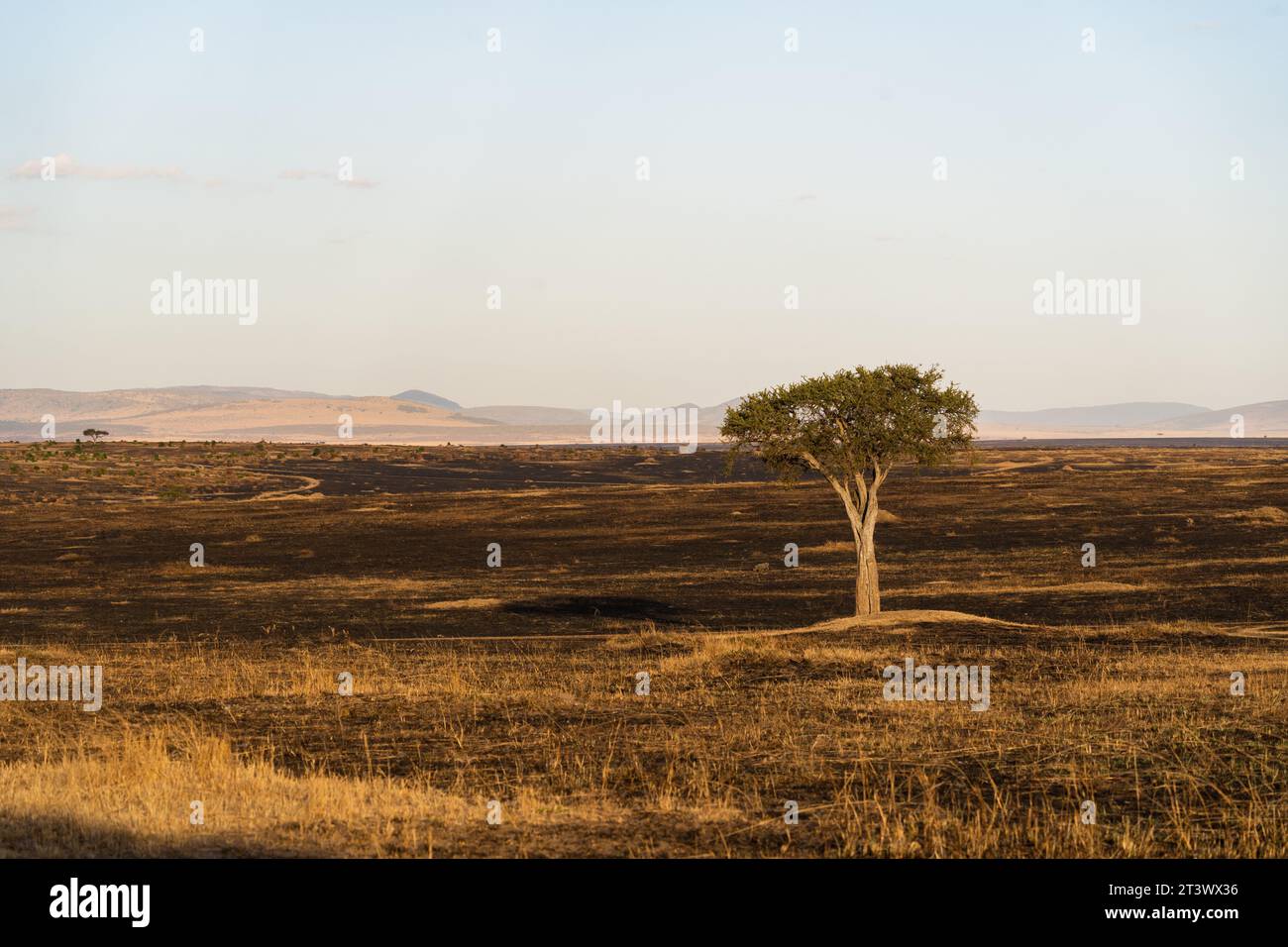 Maasai mara kenya landscape hi-res stock photography and images - Alamy
