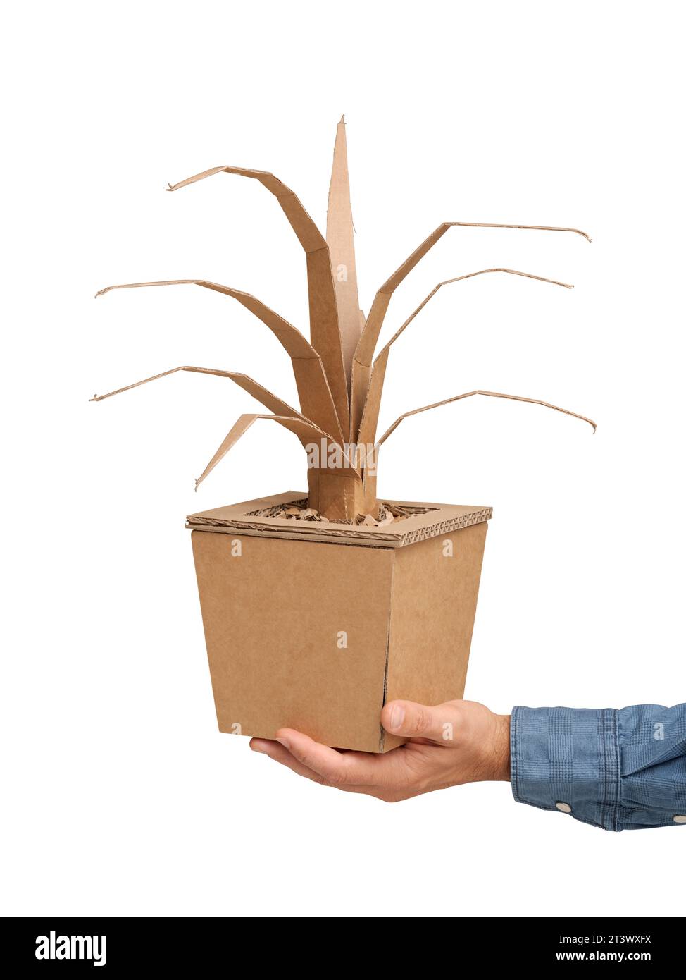 Hand holding a decorative plant made from recycled cardboard, crafts ...