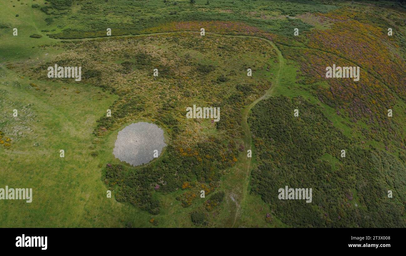 An aerial shot of a lush green field with a tranquil pond located in ...