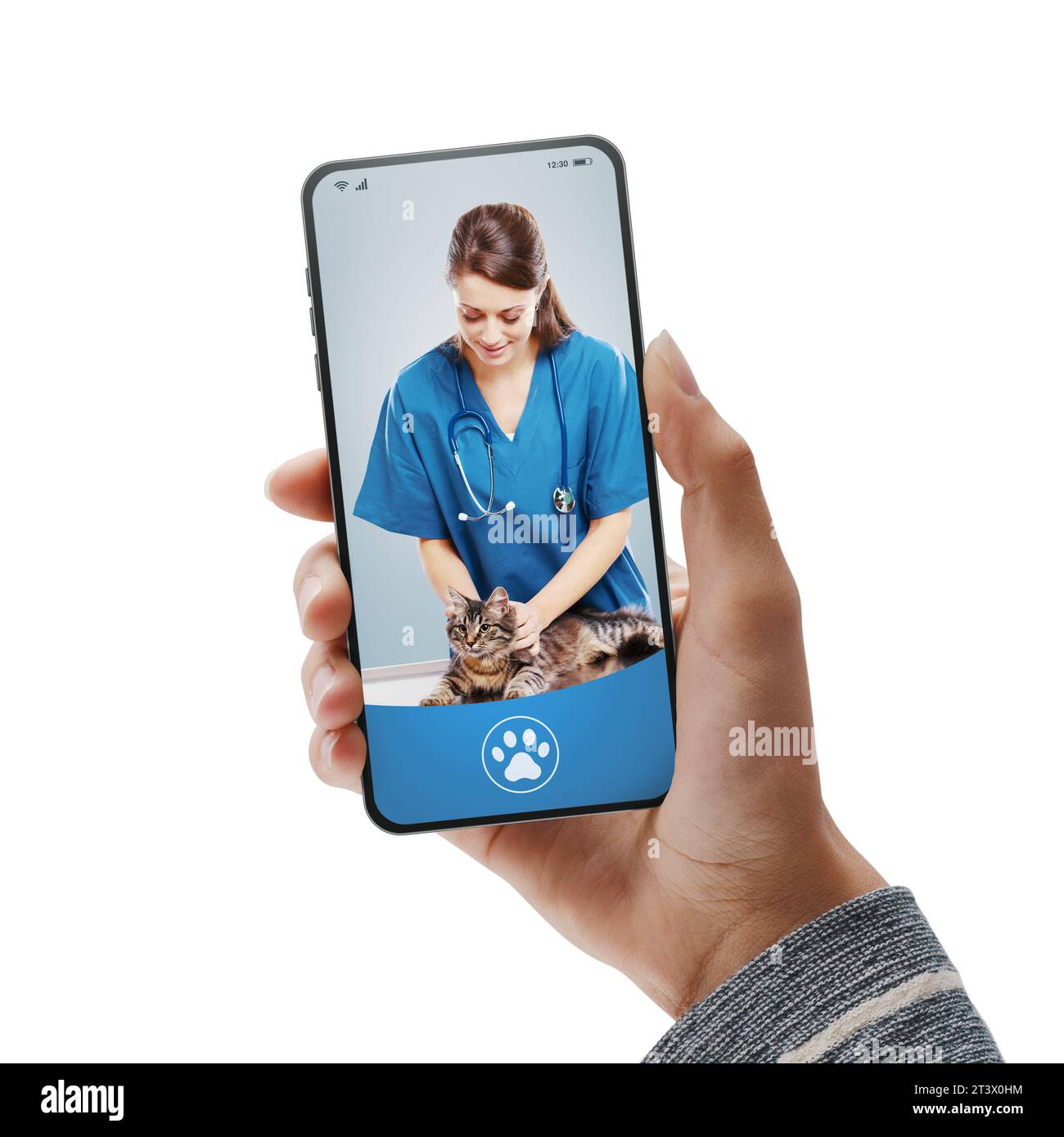 Smiling female veterinarian on smartphone screen, she is holding a cat ...