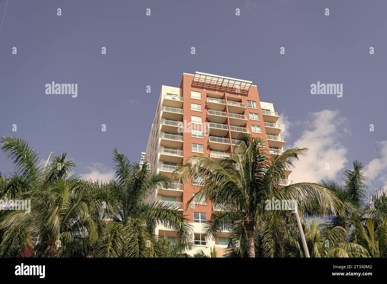 skyscraper architectural building outdoor with palms. skyscraper ...