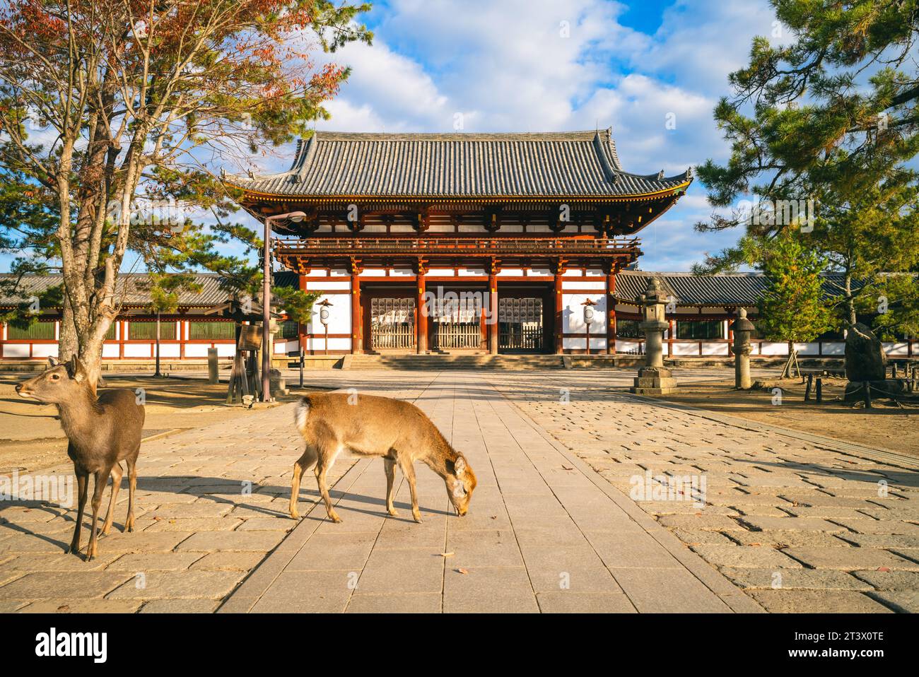 middle gate of todaiji, Eastern Great Temple, in nara, japan Stock ...