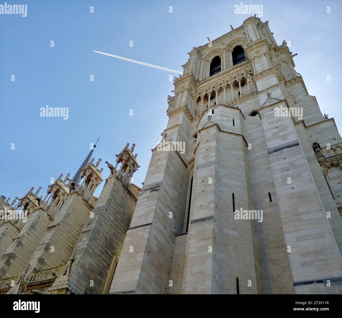 Notre Dame de Paris Cathedral, France, side view Stock Photo - Alamy