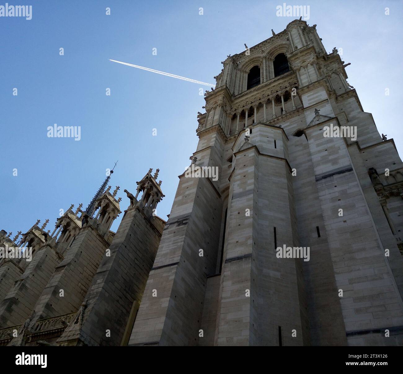 Notre Dame de Paris Cathedral, France, side view Stock Photo - Alamy