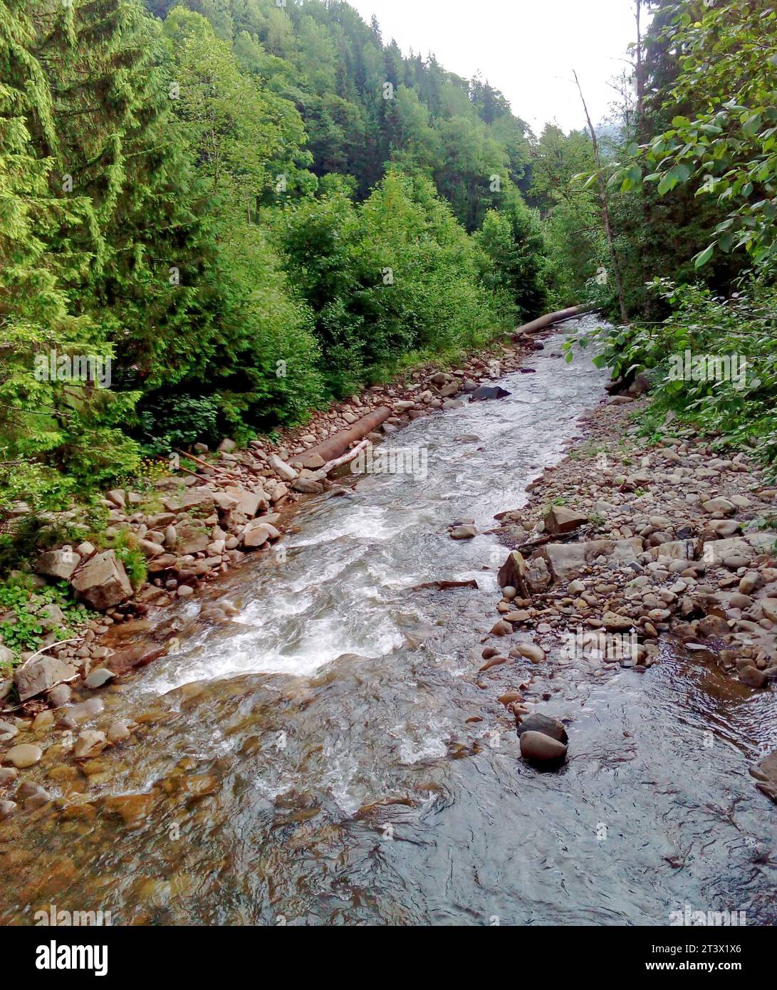 Little mountain river in the Carpathian mountains, Ukraine. Natural ...